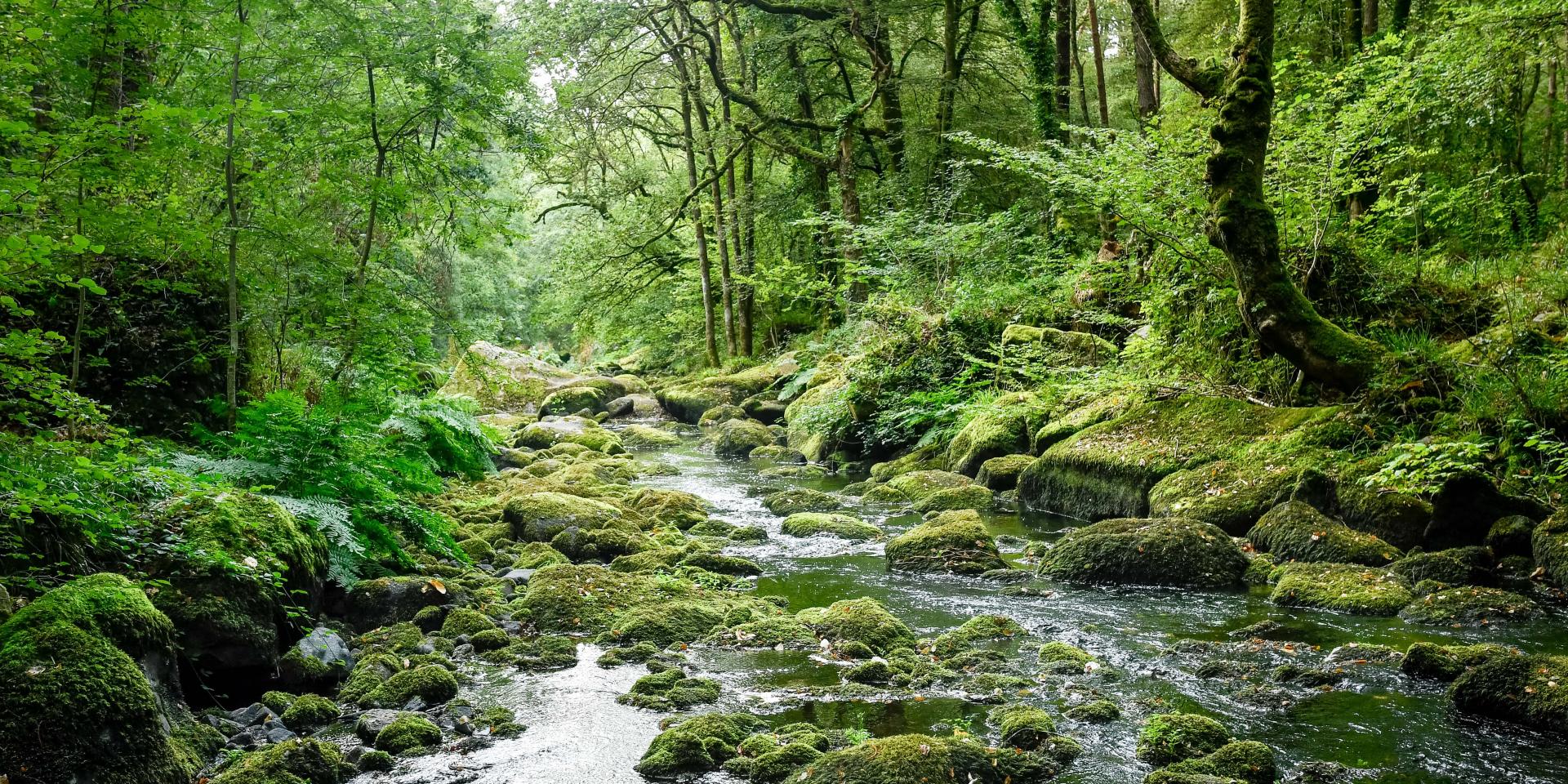 Idée balade : Au plus près de la nature au Pays du roi Morvan ...