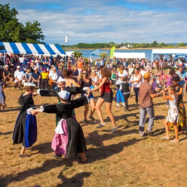 Fest fest store